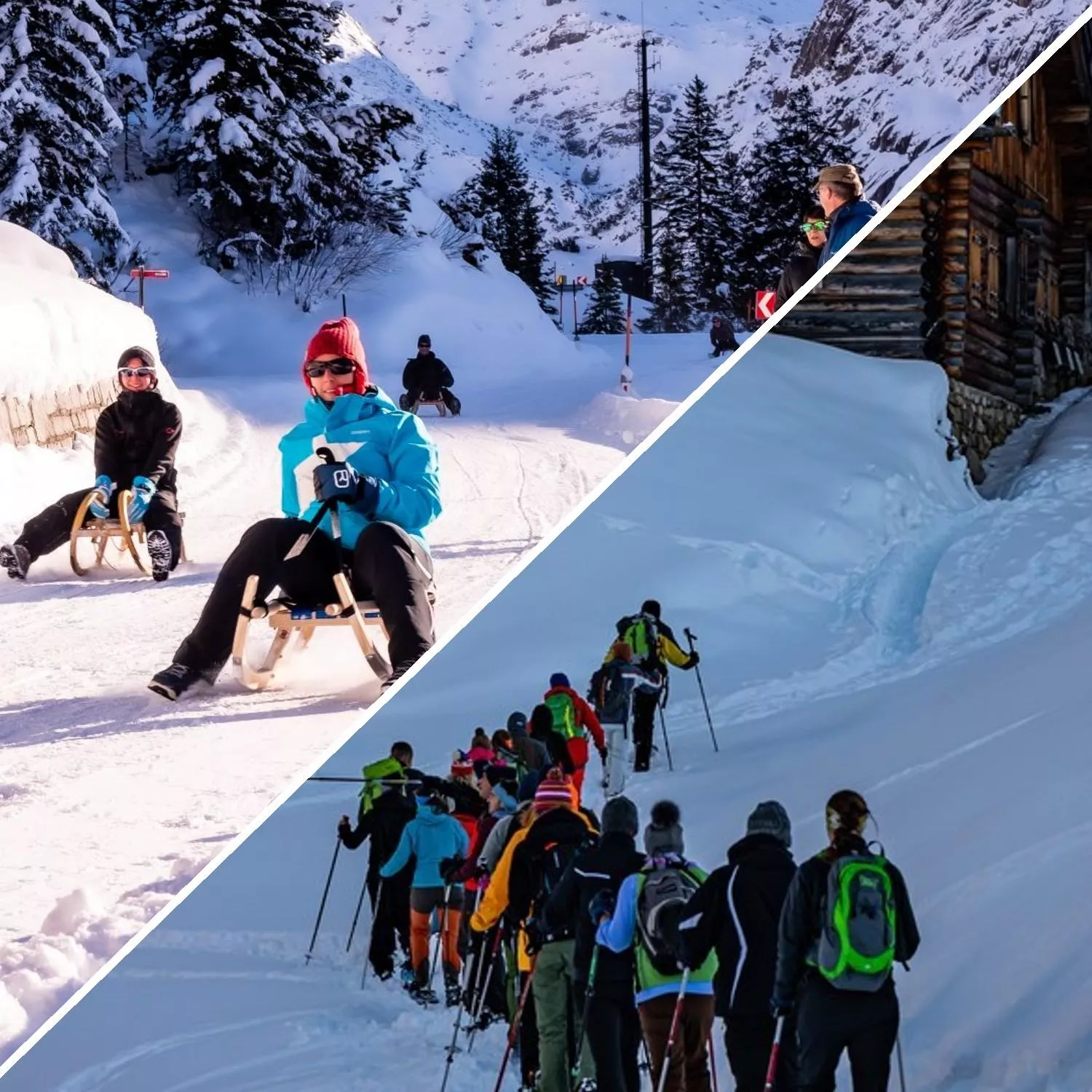 Wintererlebnistour:Bergauf mit Schneeschuhen, bergab mit Schlitten!