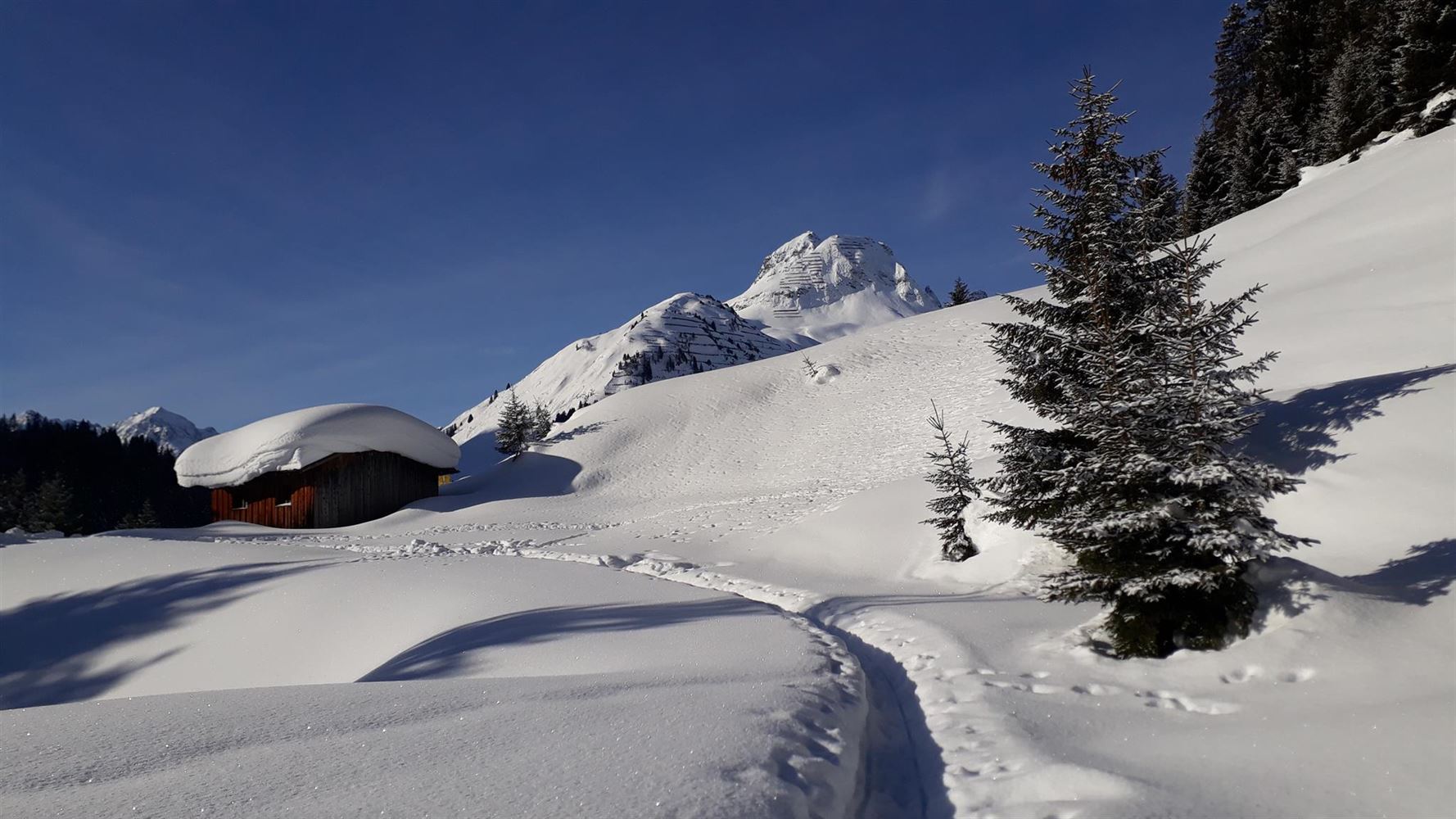 Naturhaus Gehren in Steeg