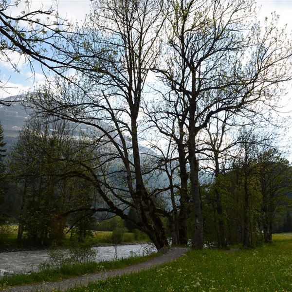 Haus Alpenblick in Steeg