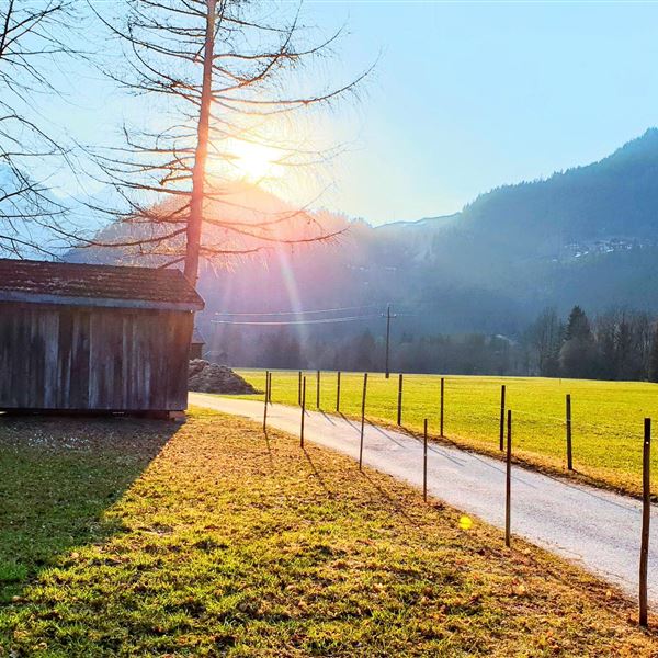 Haus Scharf in Steeg